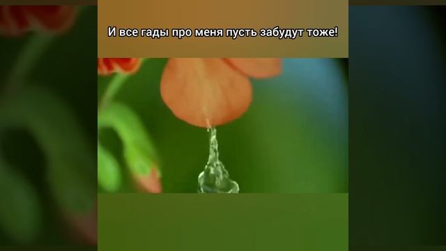 Аффирмация на каждый день