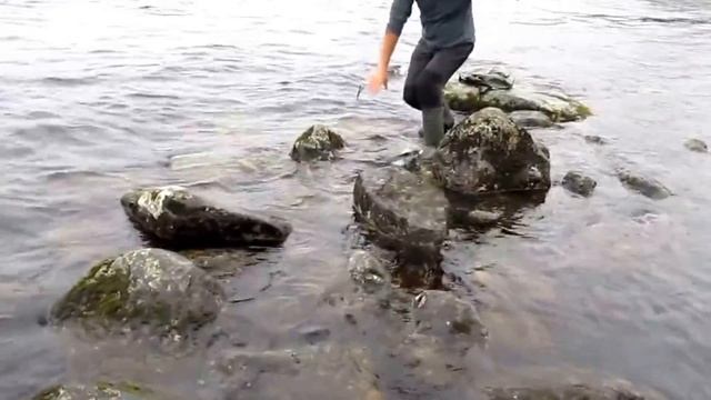 Рыбалка в Карелии. Кумжа на спиннинг. Salmon fishing on spinningа