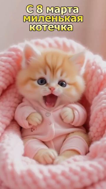 Подарок для меня🎁🐈