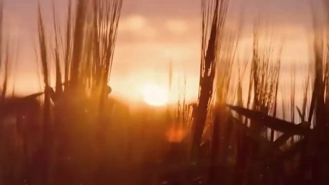 Видео музыка песня Отца