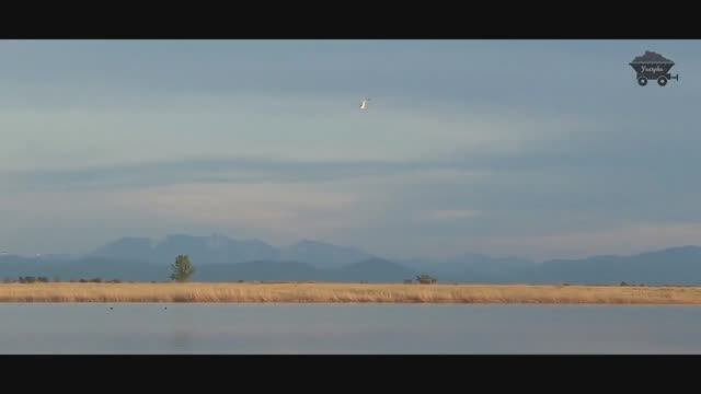 Кийзас Черемза Кузбасский Фронтир House of the Rising Sun кавер Доктор Ватсон