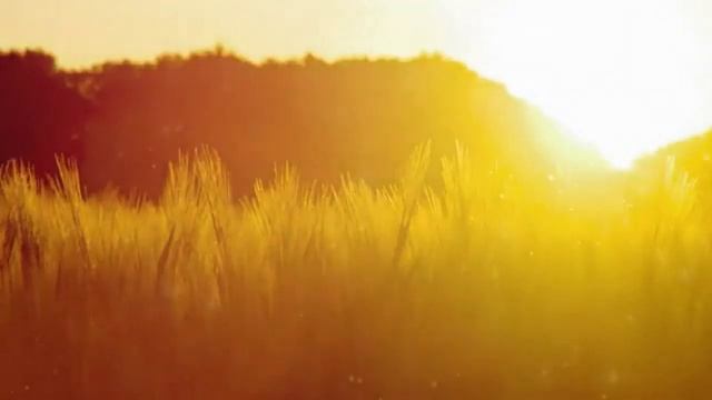 Видео музыка 1