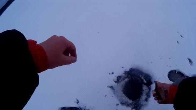 Первый лёд . Зимняя рыбалка в Лен. обл. Ловля окуня и щуки .
