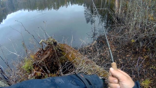 Рыбалка и отдых в Карелии.  Поход по Карельским ламбам.  Ловля  щуки + бонус