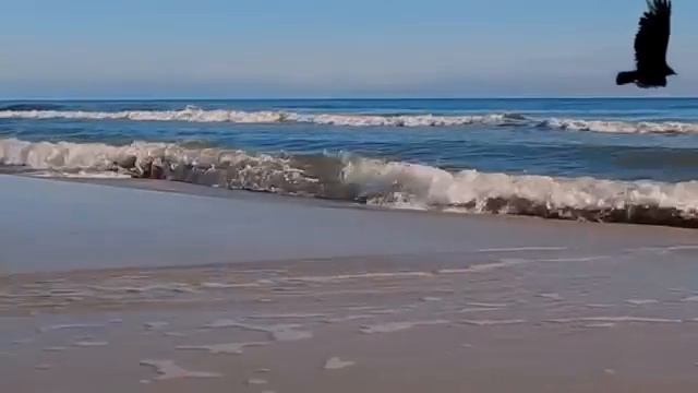 Al Bano & Romina Power - Liberta