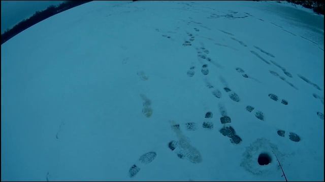 Ловля щуки на ратлин , VIB . Ратлины на зимней рыбалке с эхолотом 2019