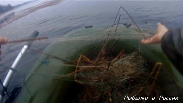 Браконьерские сети в нерестовый запрет.  Анти браконьеры 2019