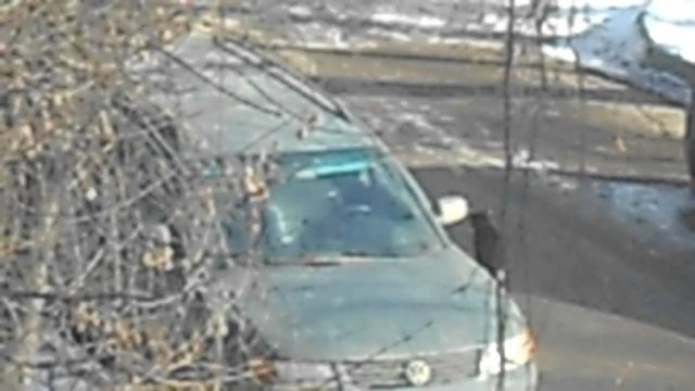 Черно-белый кот 546486458DSCN6073