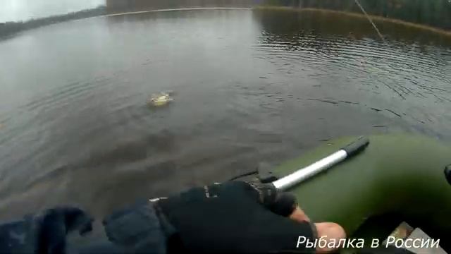 Топ воблер от Bearking.  Ловля щуки и окуня по лапухам.  Спиннинг поздней осенью.