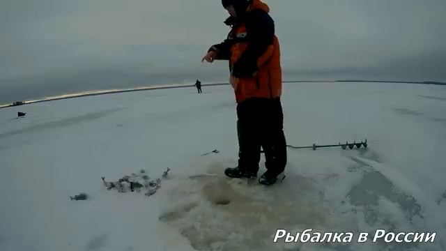 Ловля окуня на балансир.  Рыбалка в Карелии 2020.  Часть 2