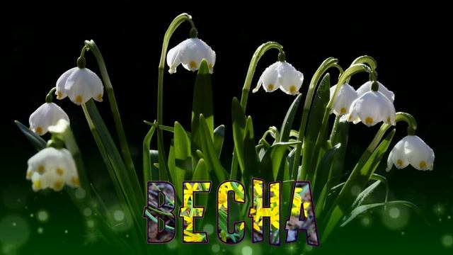 Футаж. Весна 45