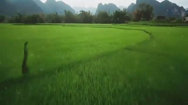 Видео музыка 3