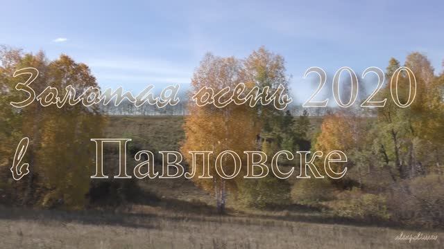 Золотая осень 2020 в Павловске.