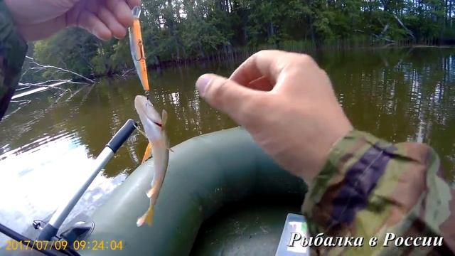 Ловля окуня на воблеры c Алиэкспресс. Твичинг