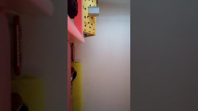 Шпионым за радитлми