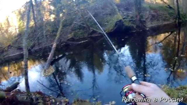 Микро речка с UL спиннингом. Ультралайт поздней осенью