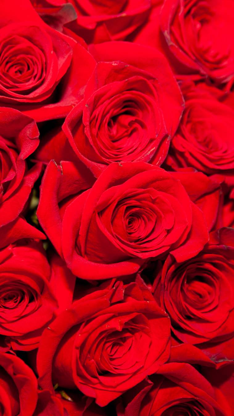 "Поздравление с 8 марта 2025"