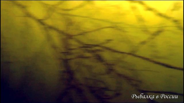 Последний лёд + Подводные съёмки подо льдом. Окунь весной.