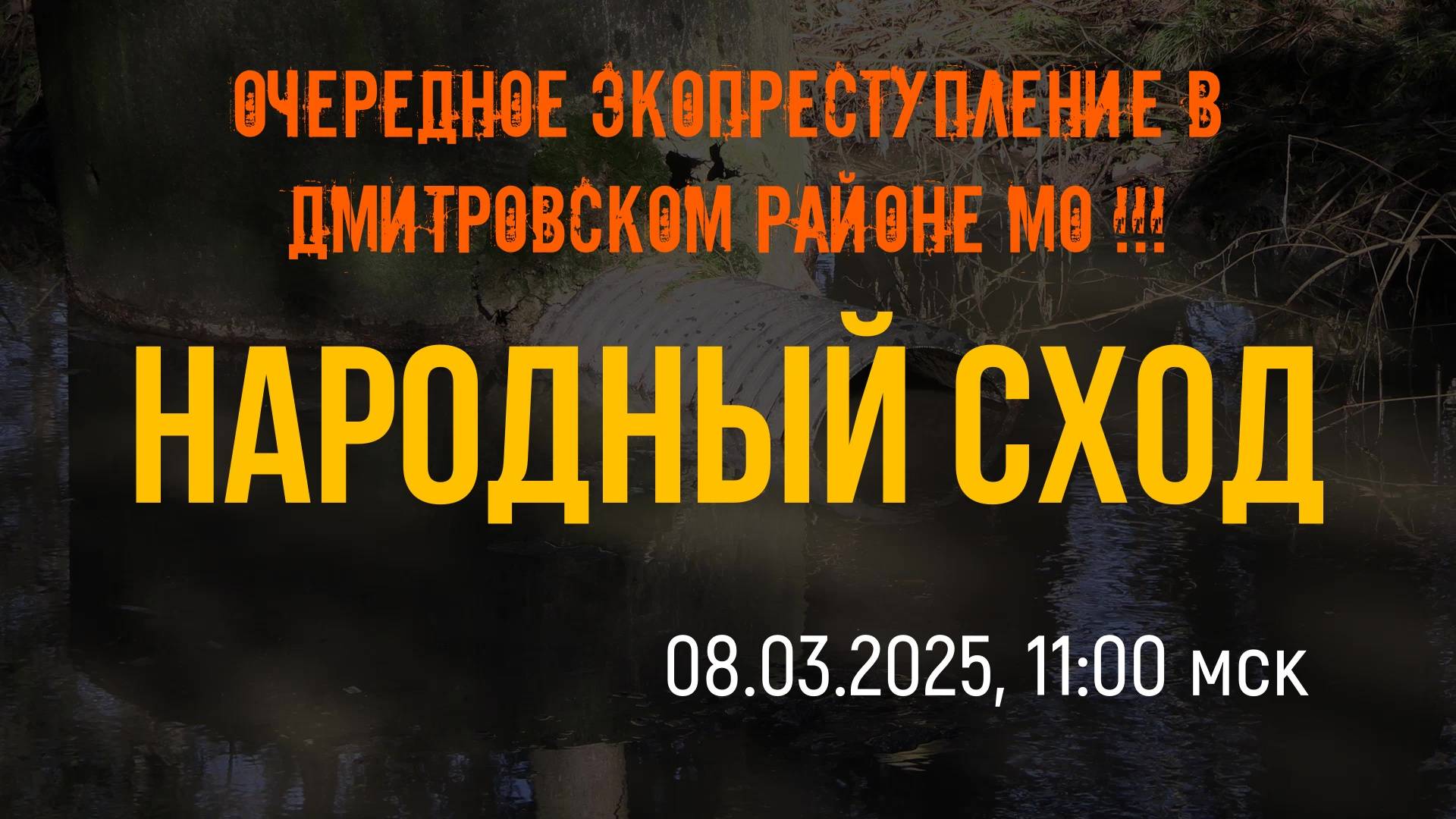 Саморядовка 08.03.25 - НАРОДНЫЙ СХОД