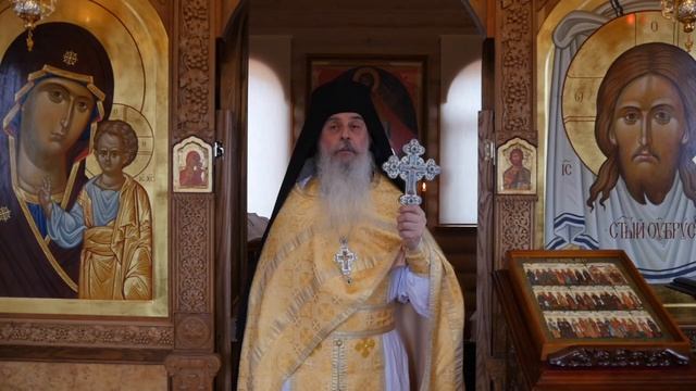 ПОРНОЗАВИСИМОСТЬ. Схиигумен Гавриил