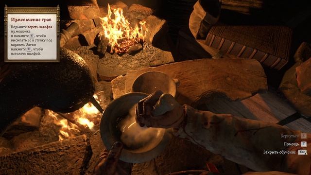 Капризный Птичкин | Kingdom Come: Deliverance II | 2