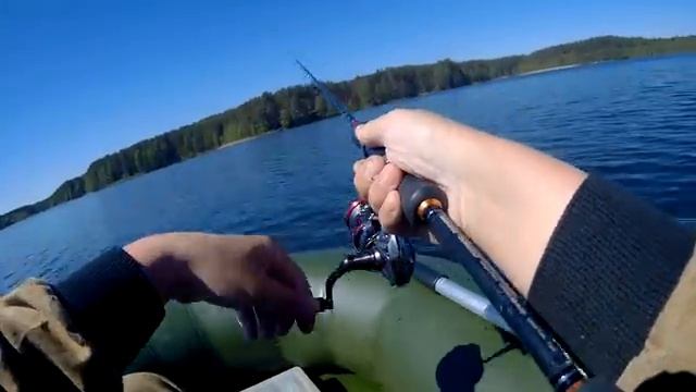 Ловля щуки и окуня в июне. Твичинг воблеры минноу.  Топ воблеры