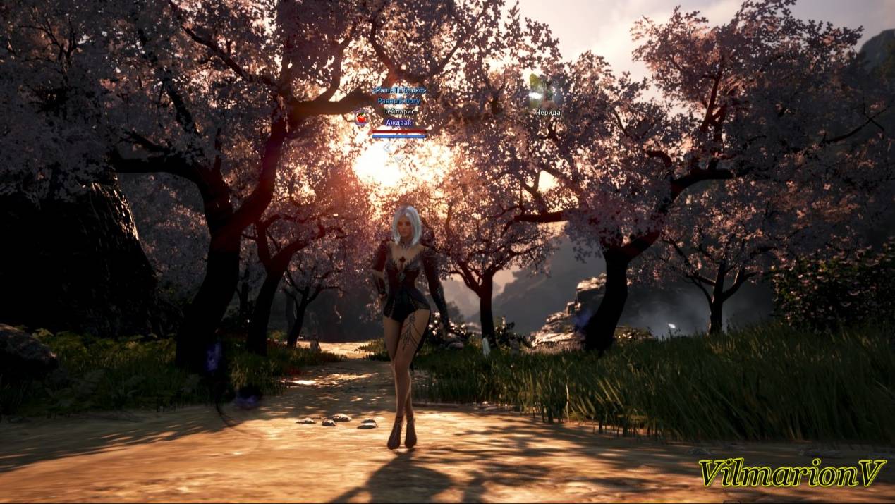 BDO - Летаем на драконе