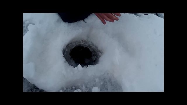 Зимняя рыбалка. Ловля щуки на жерлицы 23 февраля. pike in the winter