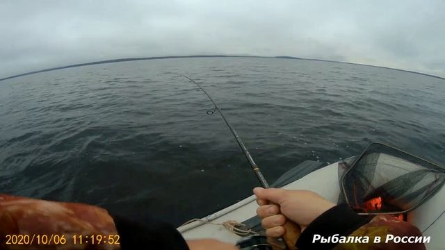 Рыбалка в Карелии.  Троллинг .  Ловля судака