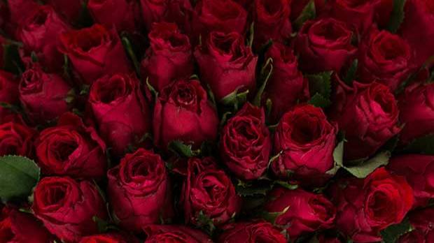 О тех, кого помню и люблю!