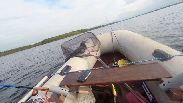 Троллинг.  Ловля судака троллингом с копиями RAPALA Tail Dancer