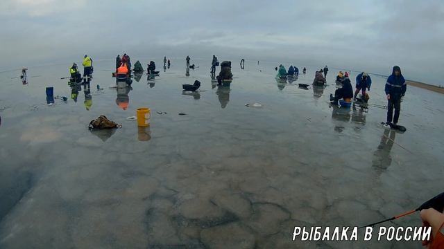 Зимняя рыбалка 2020.   Ловля окуня на блесну.  Ладога