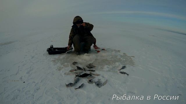 Рыбалка в Карелии 2020.  Ловля окуня на блесну и балансир.  День 4