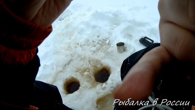 Рыбалка в Карелии март 2018  Ловля живца на ламбе