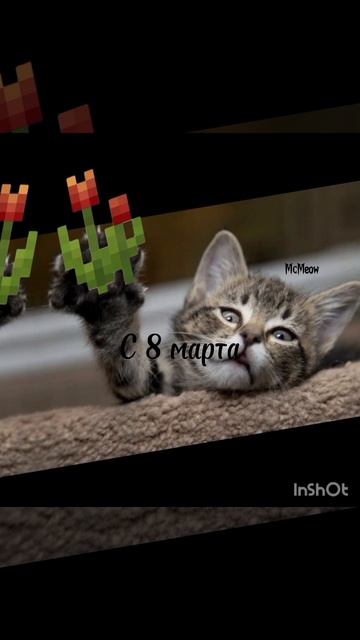 Всех с 8 марта! 🫰🌹💐❤️