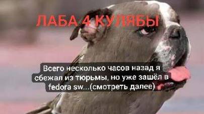 Лабораторная работа 4