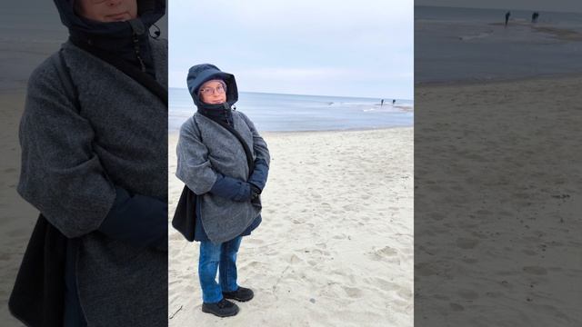 Куршская коса. февраль.