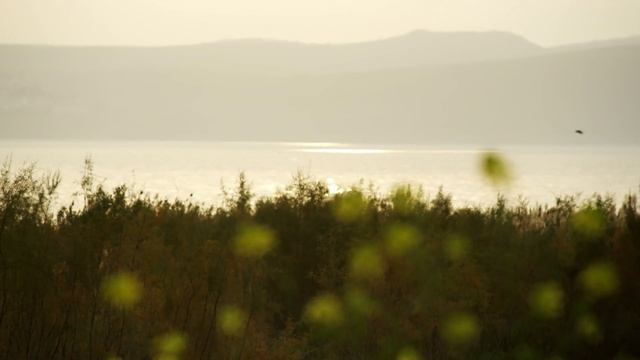 Древлегорск. Оять