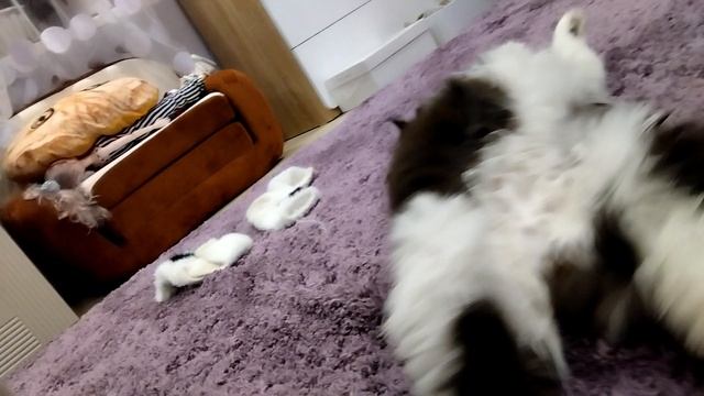 подставка для телефона виде кота