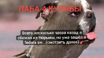 презентация для лабораторной работы 4