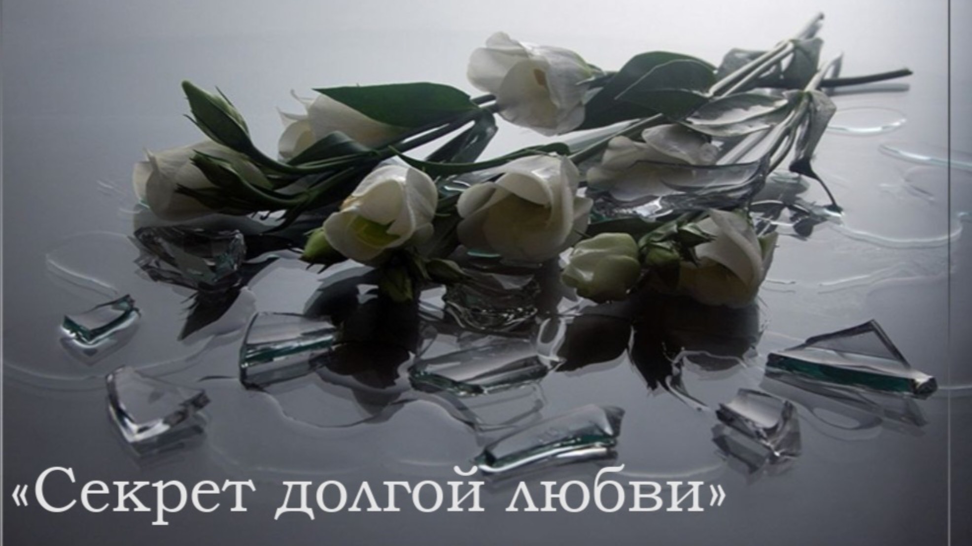 «Секрет долгой любви» на РЖЯ