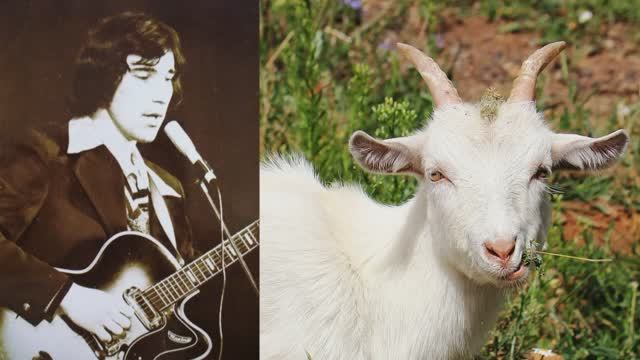 С 8 мартом. Шуточная песня про козу.