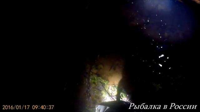 Ловля больших раков. Китайская раколовка. Ловля рака ночью