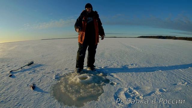 Ловля окуня зимой на блесну.  Жерлицы на щуку и налима.  Рыбалка в Карелии