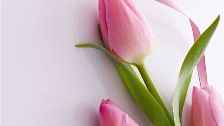 Школьный концерт, 8 марта 2025