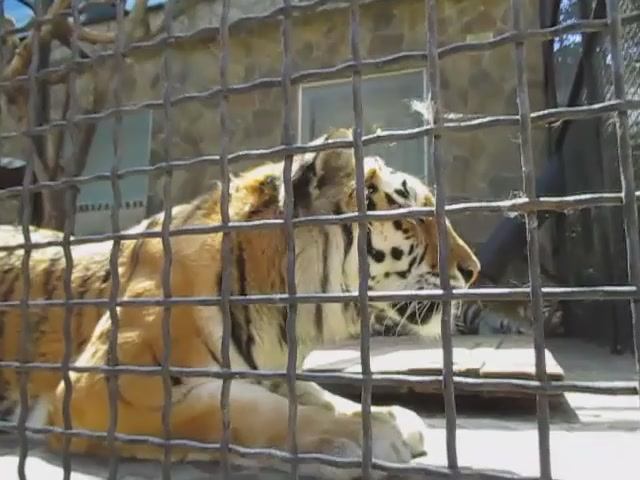 Зоопарк в Ялте