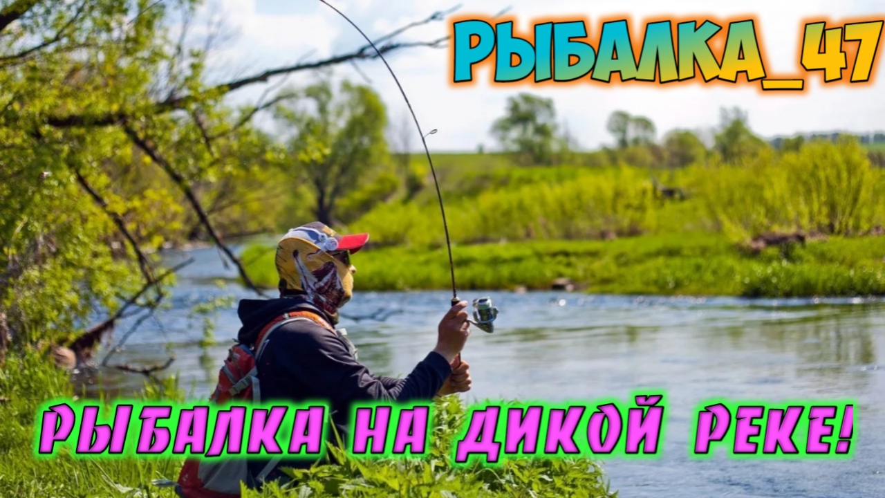 Река,рыбалка.