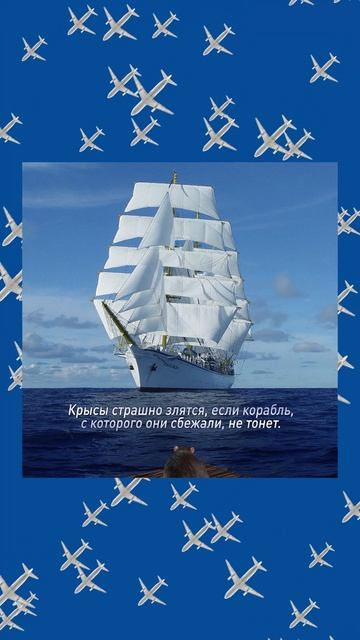 Релокация - от канала в мессенджере со смешными картинками.
