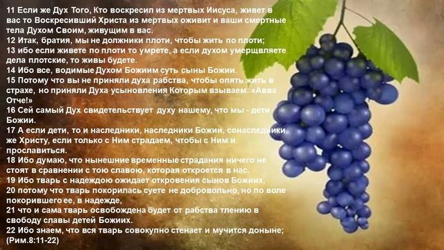 Что значит Бог в нас.  Есть ли Бог в грешниках