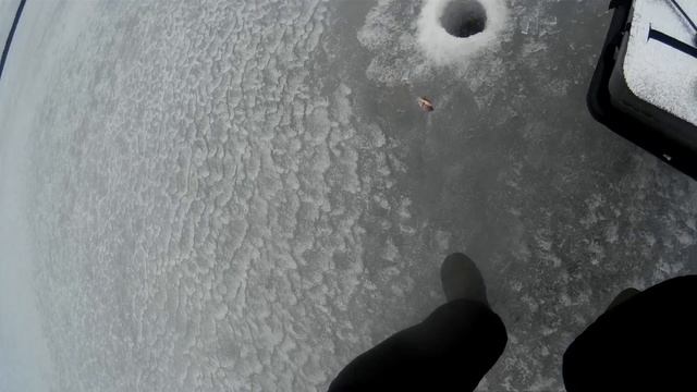 Балансир Lucky John + Окунь . Ловля окуня на балансир .